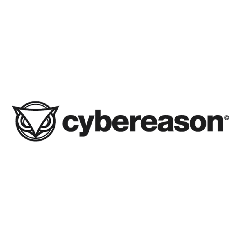 NSR - CYBEREASON - Datasecurity